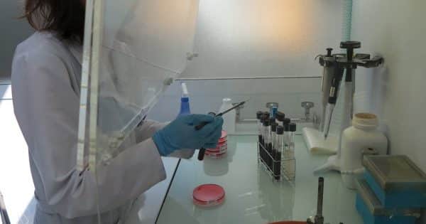 Pourquoi est-il important de faire des analyses médicales? - C mon web